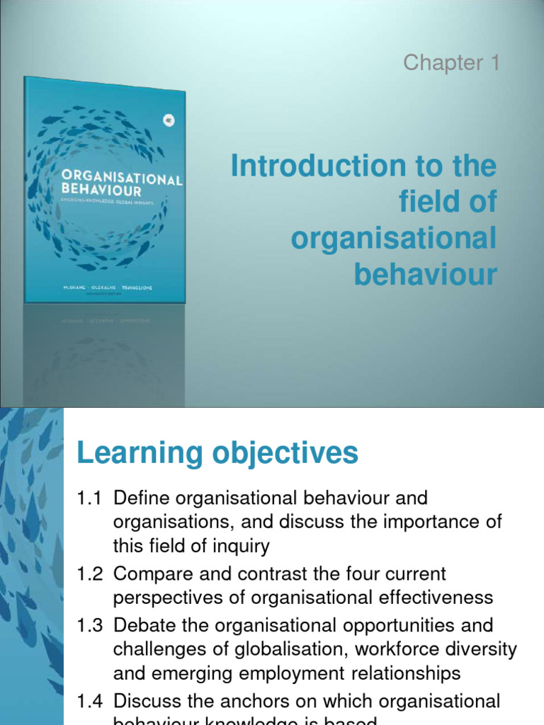 Ch01 - Introduction To The Field of Organisational Behaviour - Updated | PDF | Organizational ...