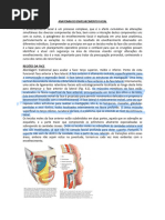 Anatomia Topográfica da Face: Estruturas e Funções | PDF | Cabeça e ...