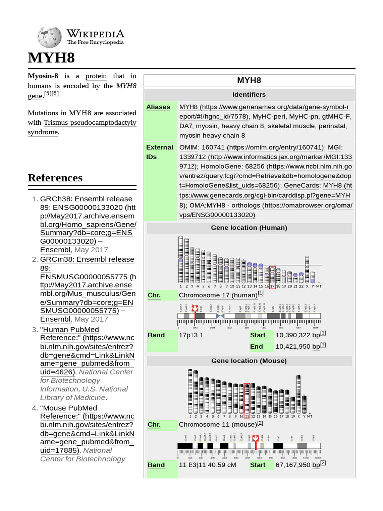 MYH8 | PDF | Actin | Muscle