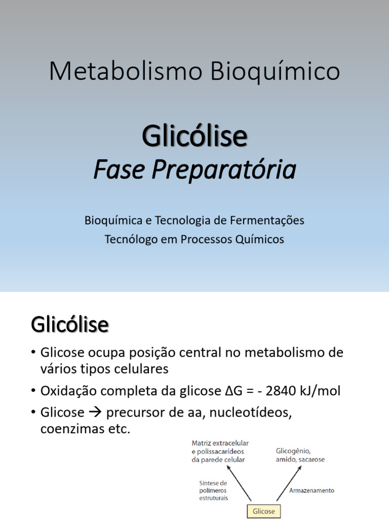 Glicólise: Fases e Enzimas Chave | PDF | Glicolise | Biologia