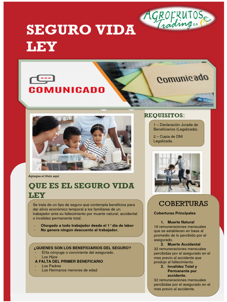 Triptico - Seguro Vidal Ley | PDF