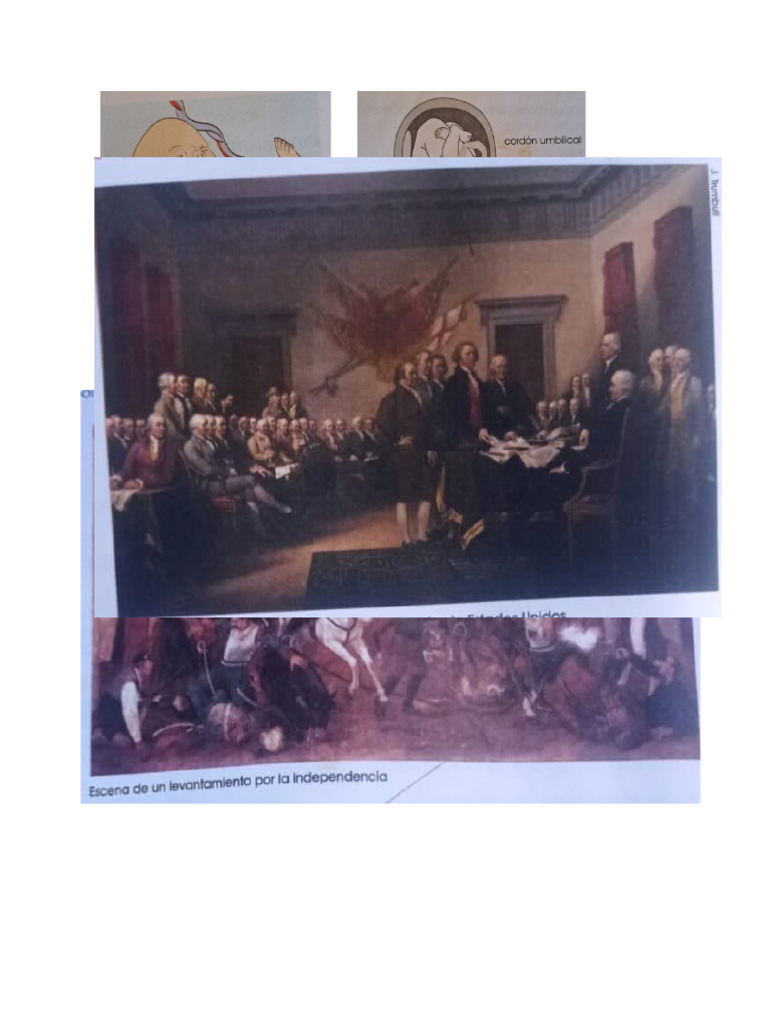 Procesos Del Embarazo | PDF