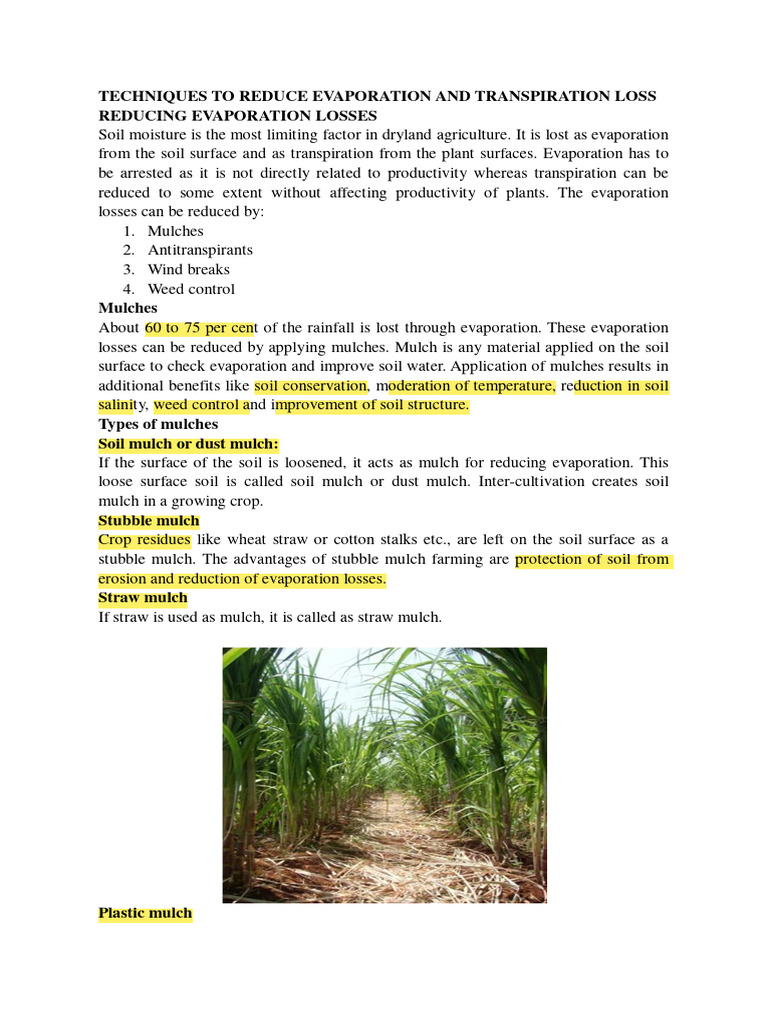 Reduce Evaporation & Transpiration Losses | PDF | Mulch | Stoma