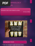 Triadan Tooth Numbering Guide | PDF | Dental Anatomy | Dentistry