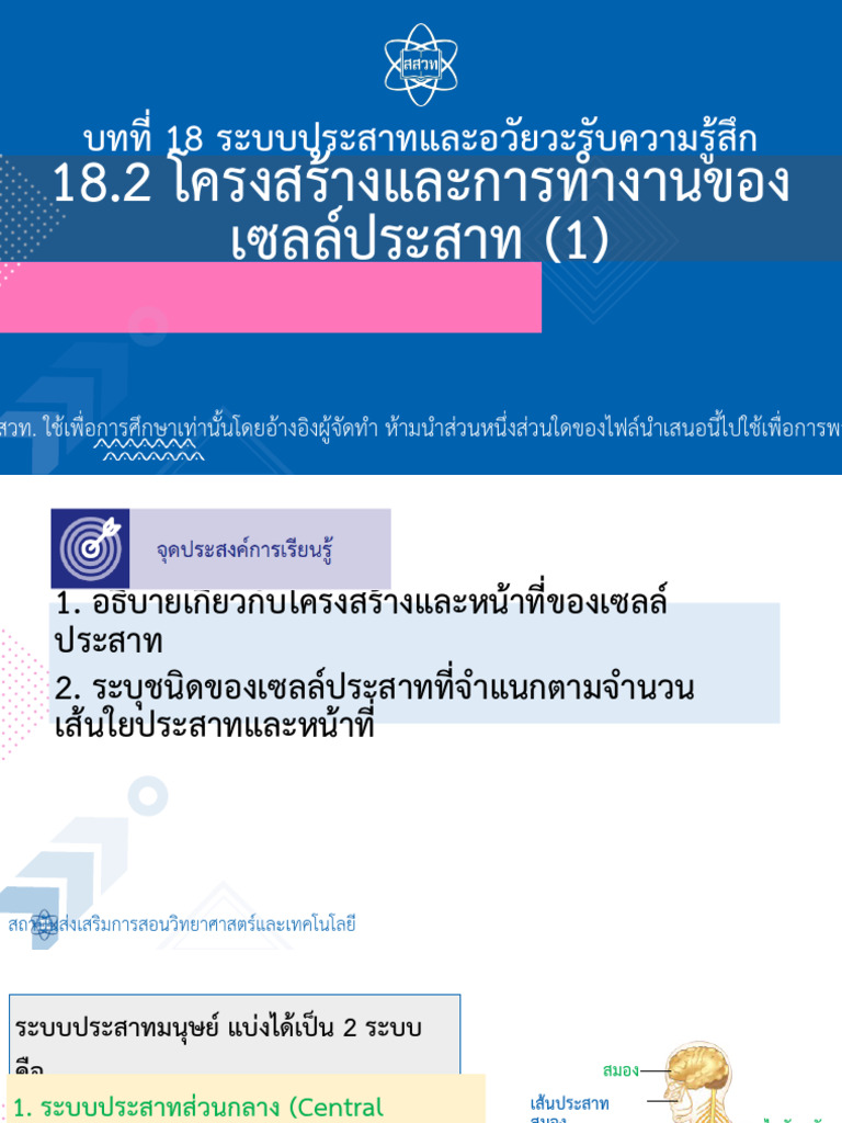 m6b5 18 2nerve Cell 002 PPT | PDF