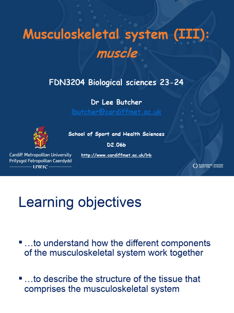 Musculoskeletal System: Muscle Functions | PDF | Muscle | Muscle ...