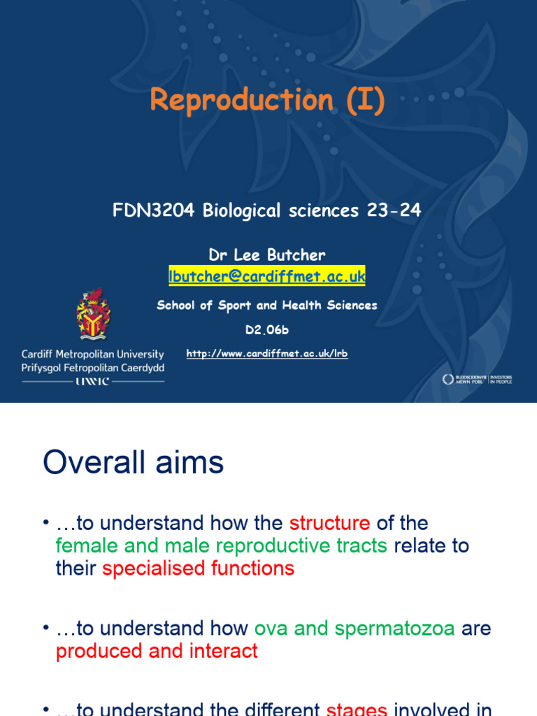 Lecture 5 1 Reproductive System I 23 24 V1 Moodle Pdf Testicle
