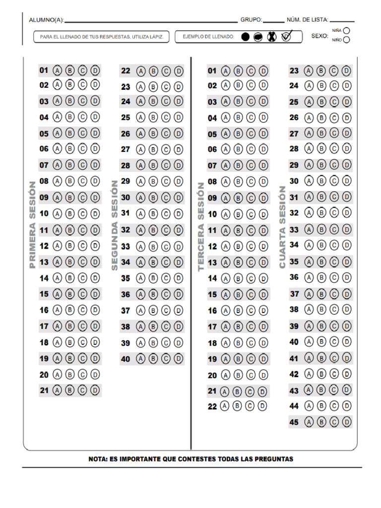 Plantilla de Relleno Examen RIMA | PDF