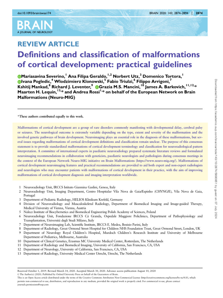 Awaa 174 | PDF | Cerebral Cortex | Neocortex