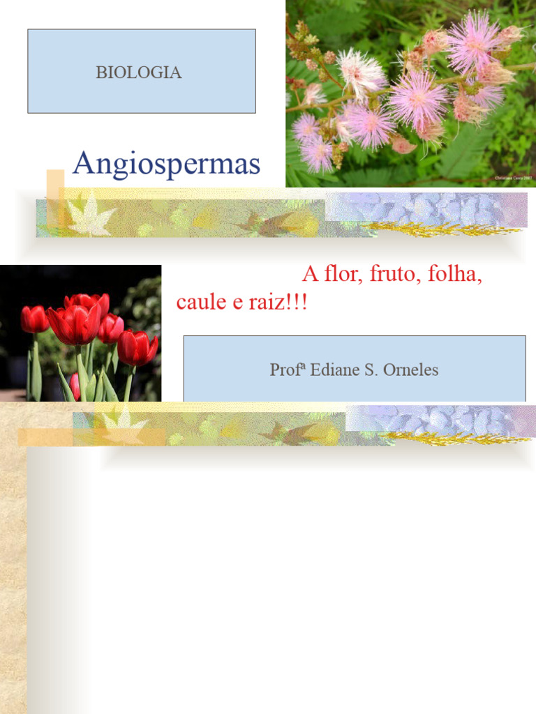 Angiospermas Fisiologia e Anatomia | PDF | Raiz | Árvores