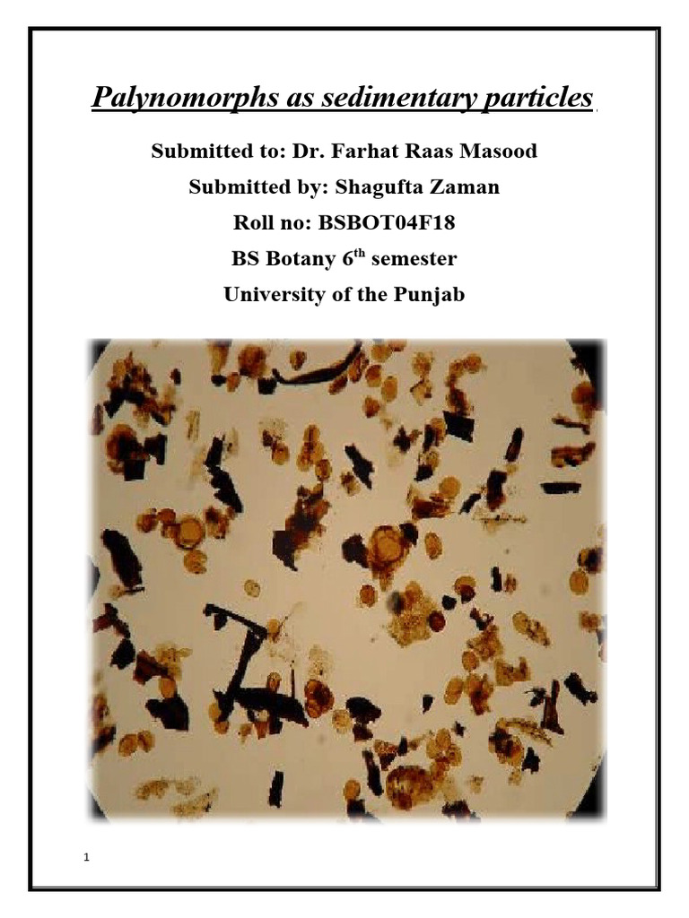 Palynomorphs As Sedimentary Particles-Shagufta Zaman 04 | PDF ...