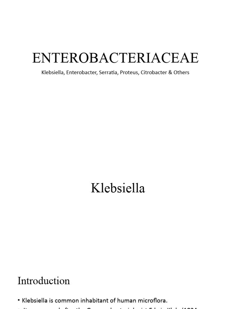 Klebsiella and Enterobacter Overview | PDF | Bacteria | Microbiology