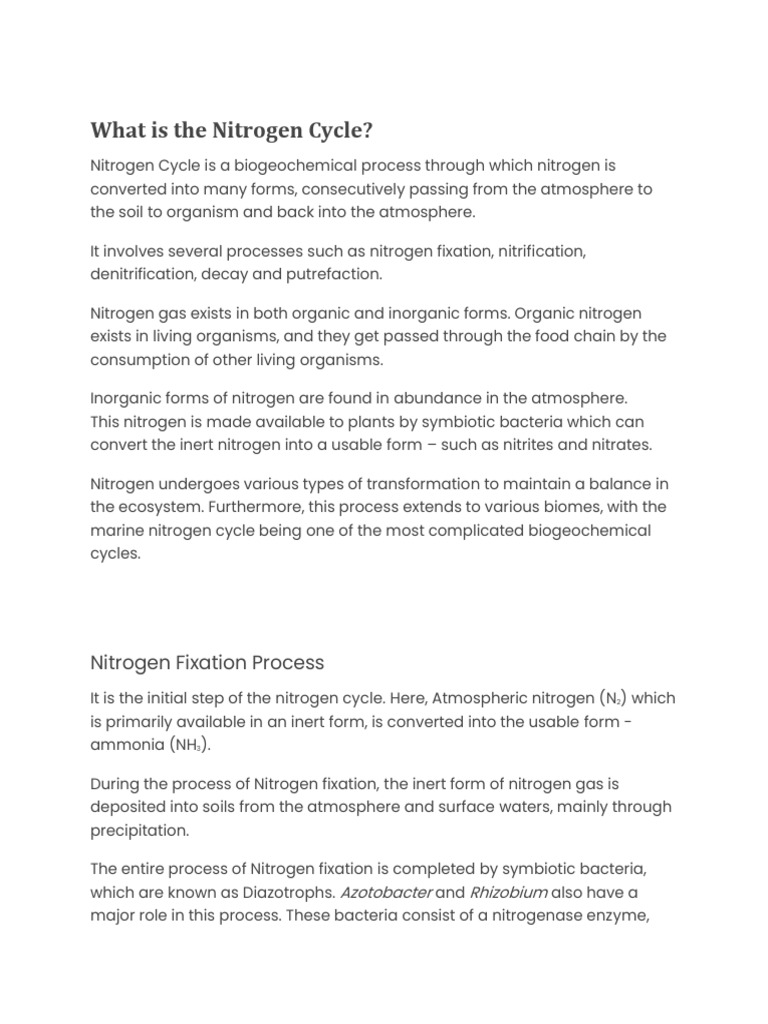 Nitrogen Cycle | PDF | Nitrogen | Systems Ecology