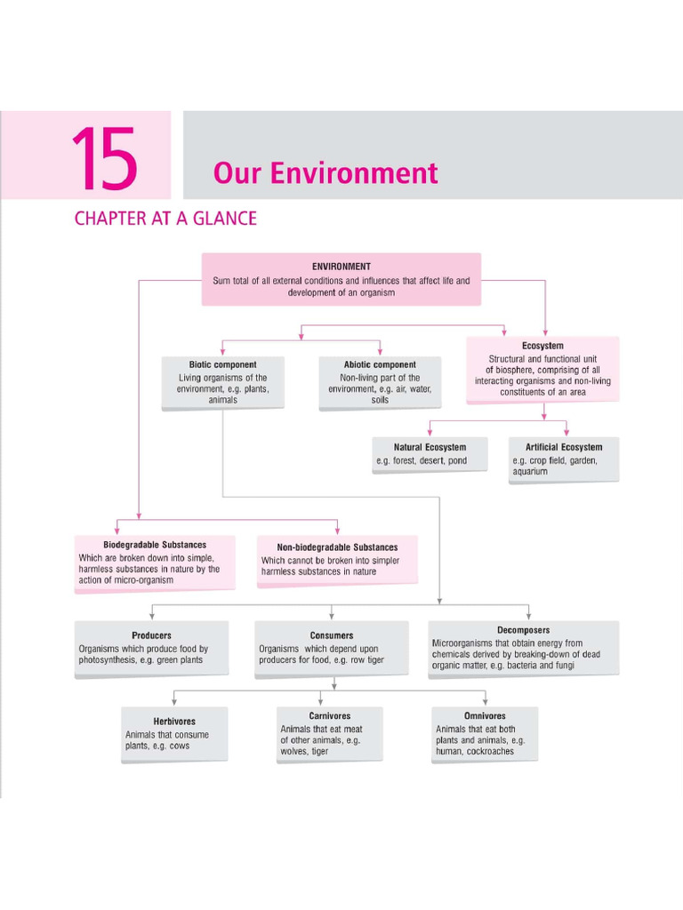 Our Environment Questionnaires | PDF