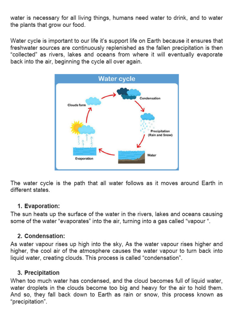 Water Cycle | PDF