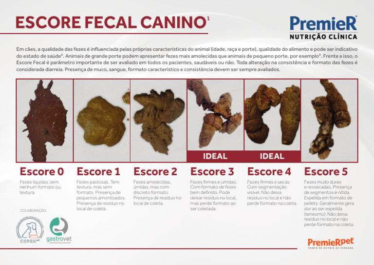 Escore Fecal | PDF