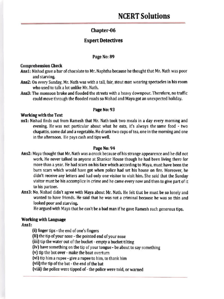 7 Expert Detectives | PDF