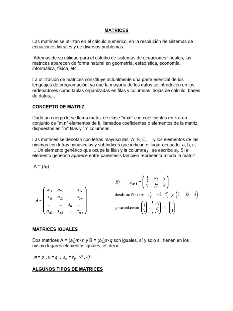 Teoría de Matrices | PDF | Determinante | Matriz (Matemáticas)
