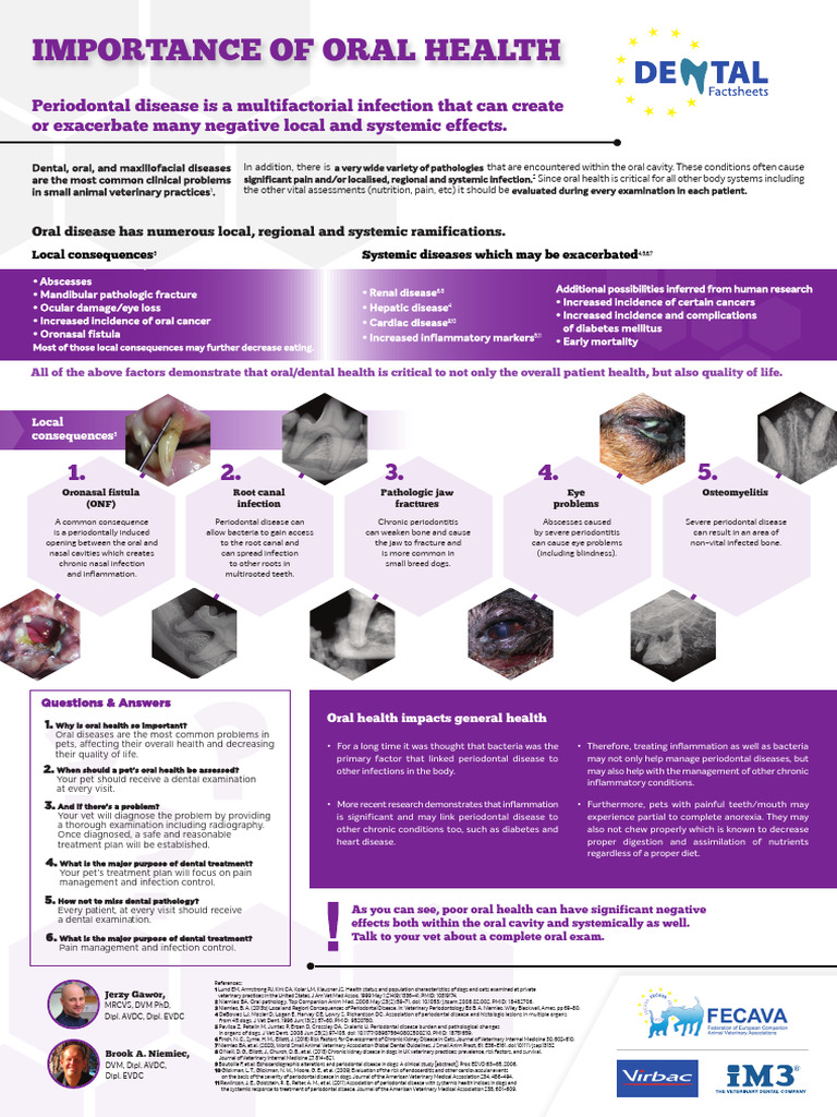 Importance of Oral Health | PDF | Dentistry | Periodontology