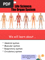 Overview of 12 Body Systems | PDF | Human Body | Animal Anatomy