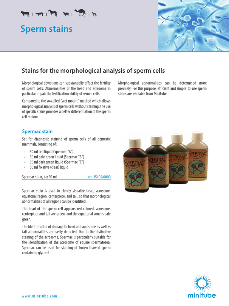 Fichas | PDF | Staining | Sperm