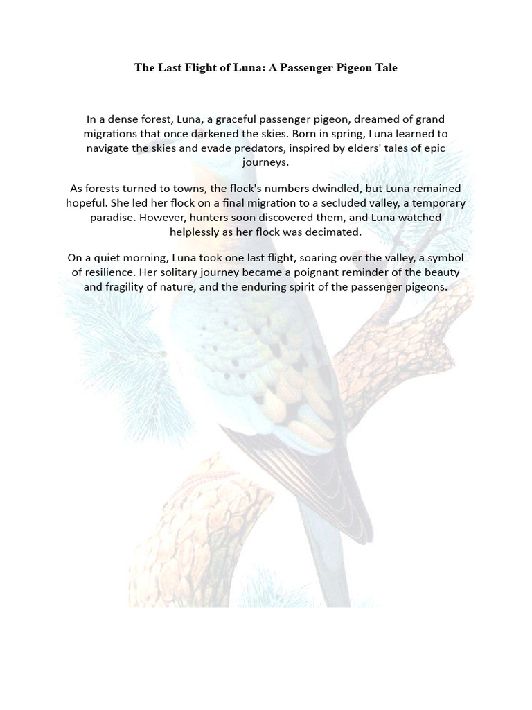 The Last Flight of Luna | PDF