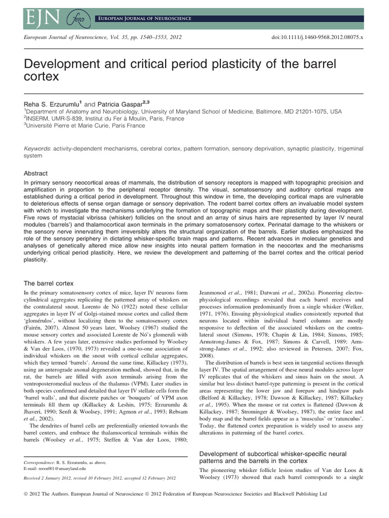 Development and Critical Period Plasticity of The Barrel Cortex ...