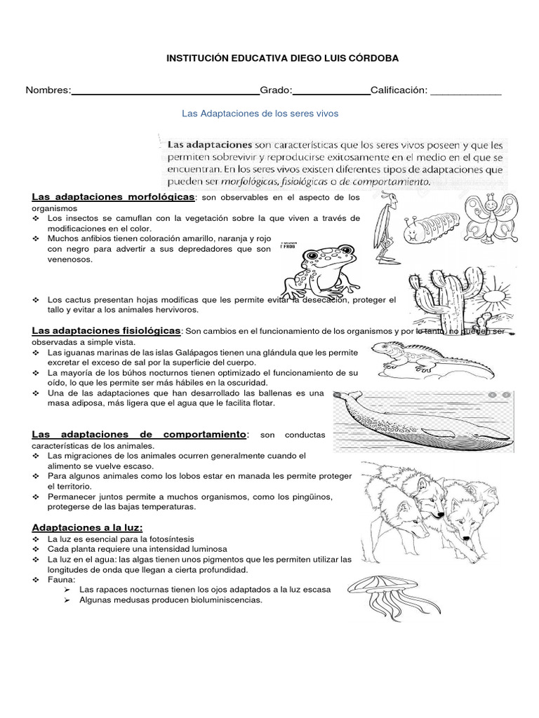 Adaptaciones | PDF | Clima | Osos