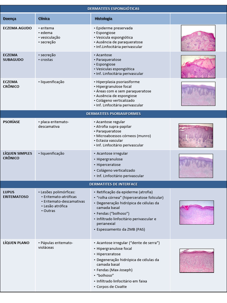 Dermatoses Inflamatórias - Prancha Estudo | PDF | Morfologia (Biologia ...