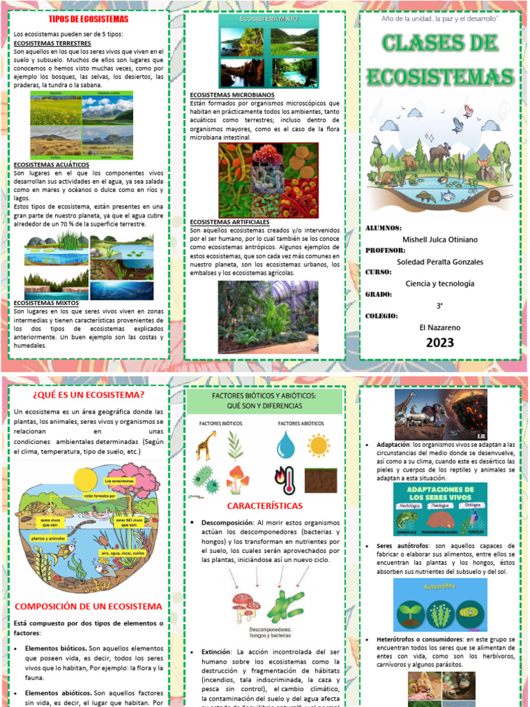 Ecosistema Triptico Mishel | PDF | Ecosistema | Suelo