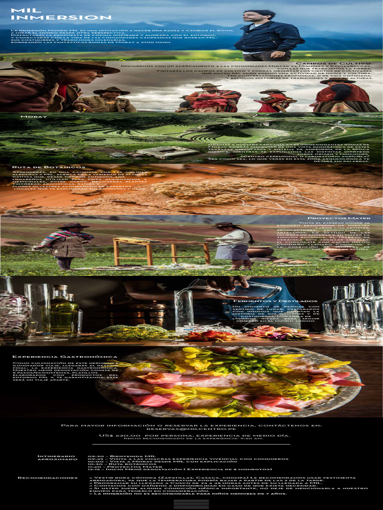 MIL Imm SPA Web-1 | PDF