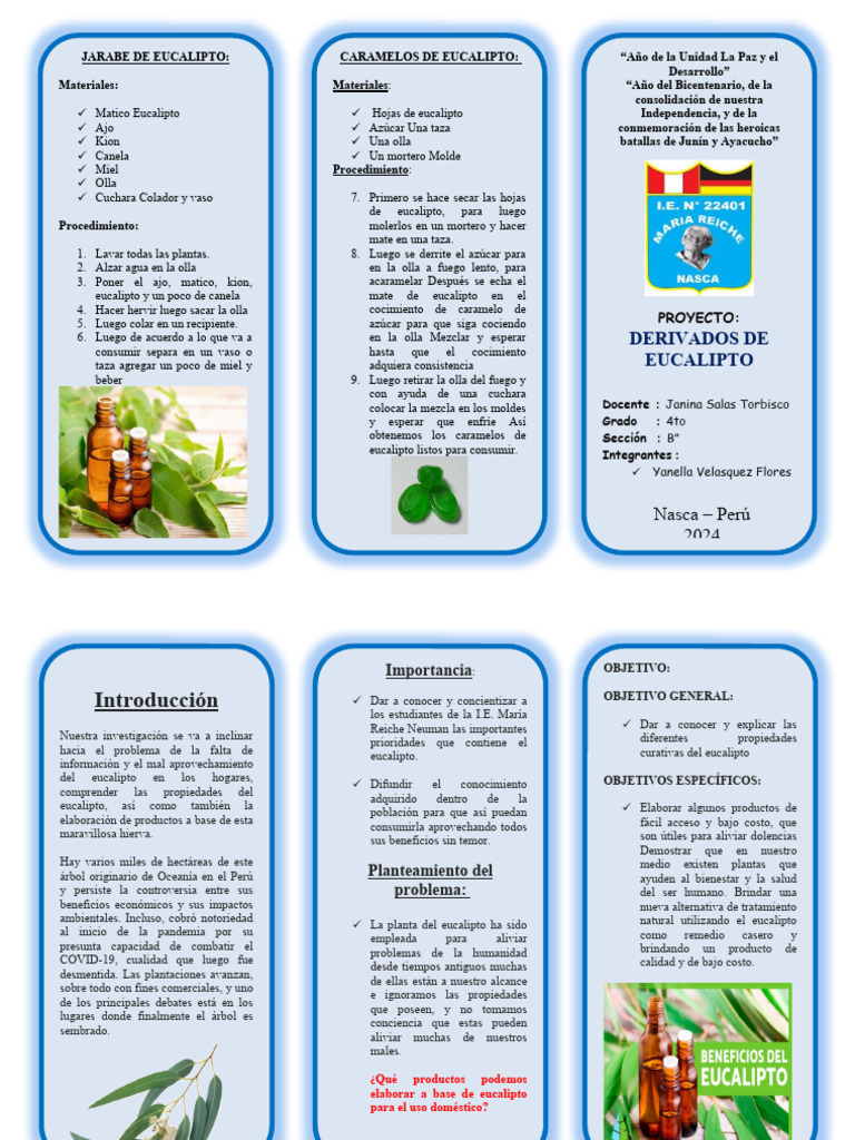 TRIPTICO Eucalipto | PDF | Alimentos