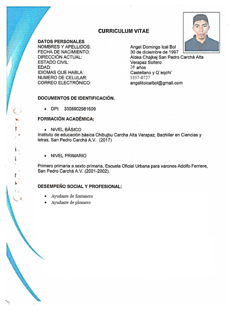 Curriculum Angel | PDF