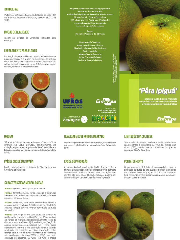 Folder Pera Ipigua | PDF