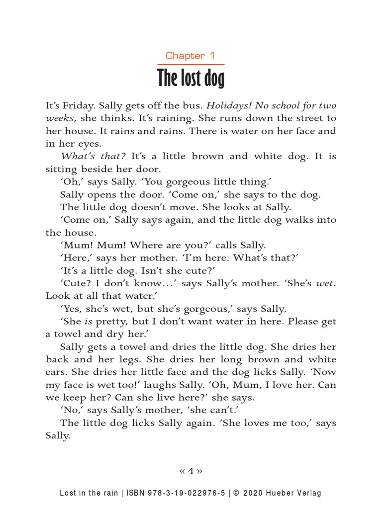 The Lost Dog | PDF