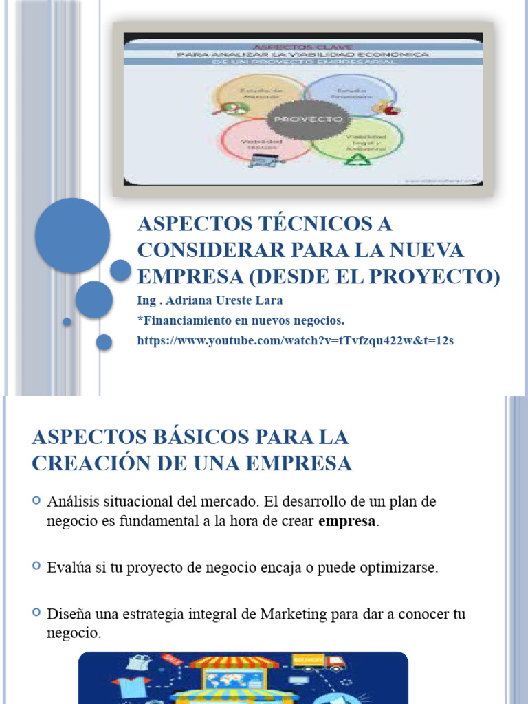 Aspectos Tecnicos (Proyecto) | PDF | Presupuesto | Business