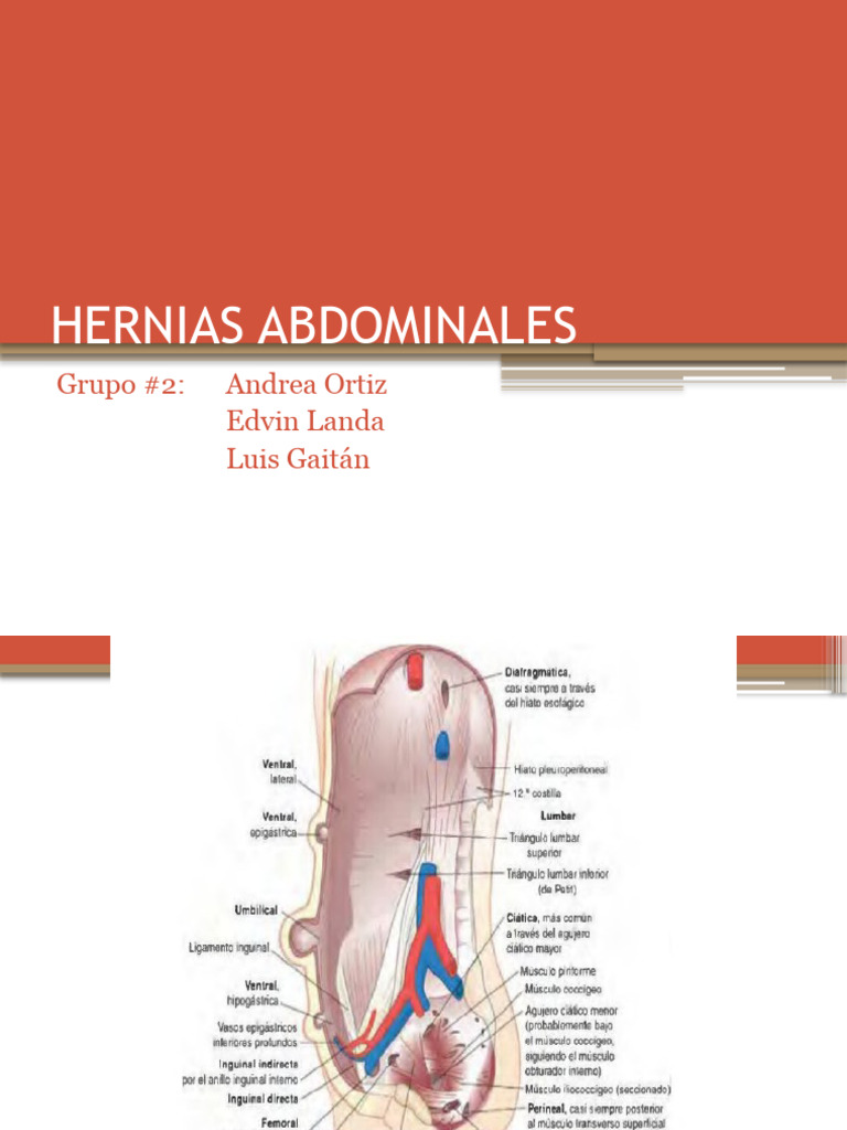 Hernias Abdominales | PDF | Abdomen | Anatomía