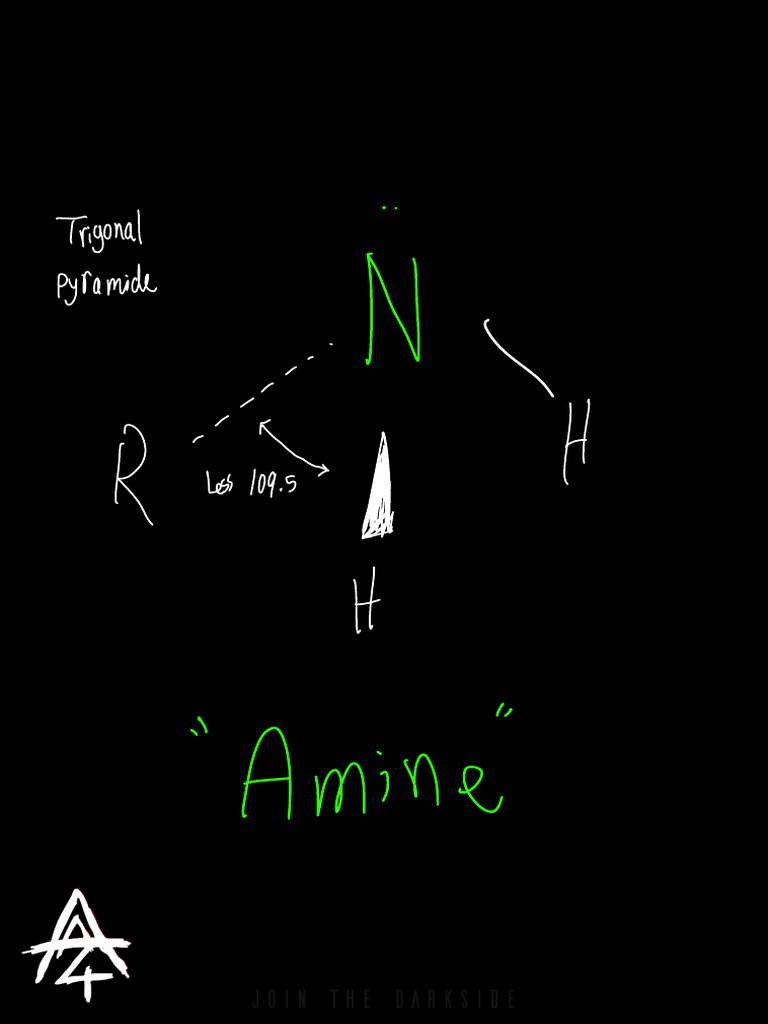 A24's Amines | PDF | Amine | Functional Group