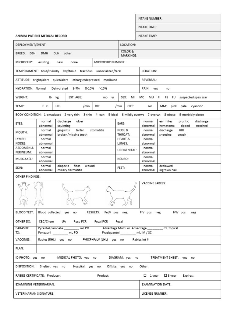 Veterinary Cat Examination Form | PDF | Medical Specialties | Diseases ...