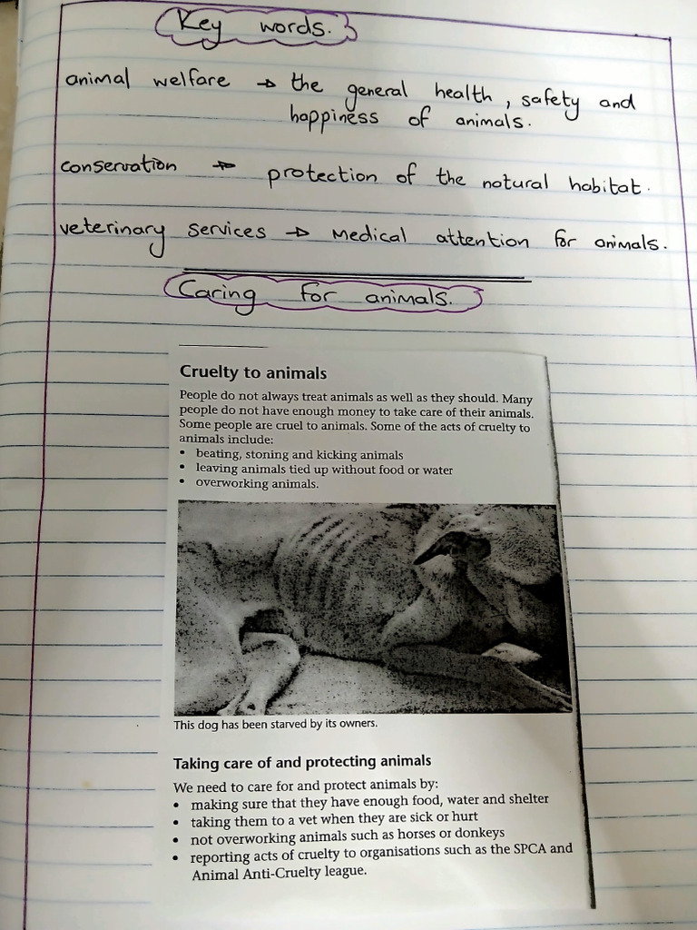 Psw Pdf Pdf Cruelty To Animals Animal Welfare