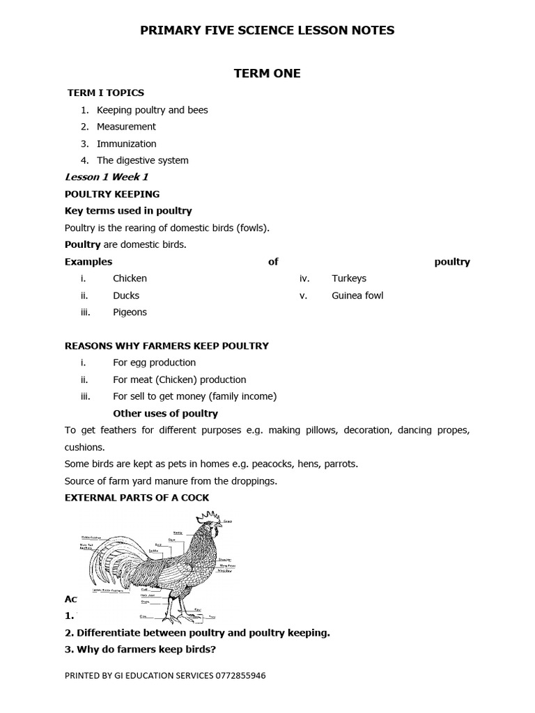 878ed19b Cc6f 445c 9567 Cd2e9cdf830d Primary Five Science Lesson Notes ...