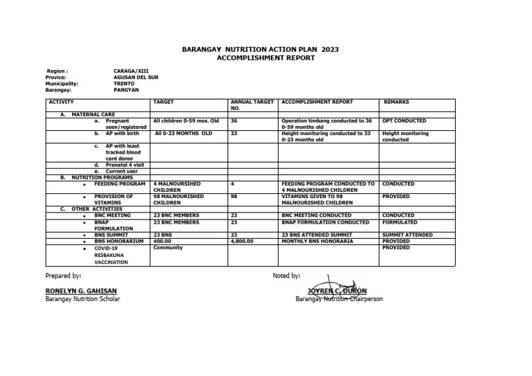 Barangay Nutrition Action Plan 2023 | PDF | Motherhood | Human Pregnancy