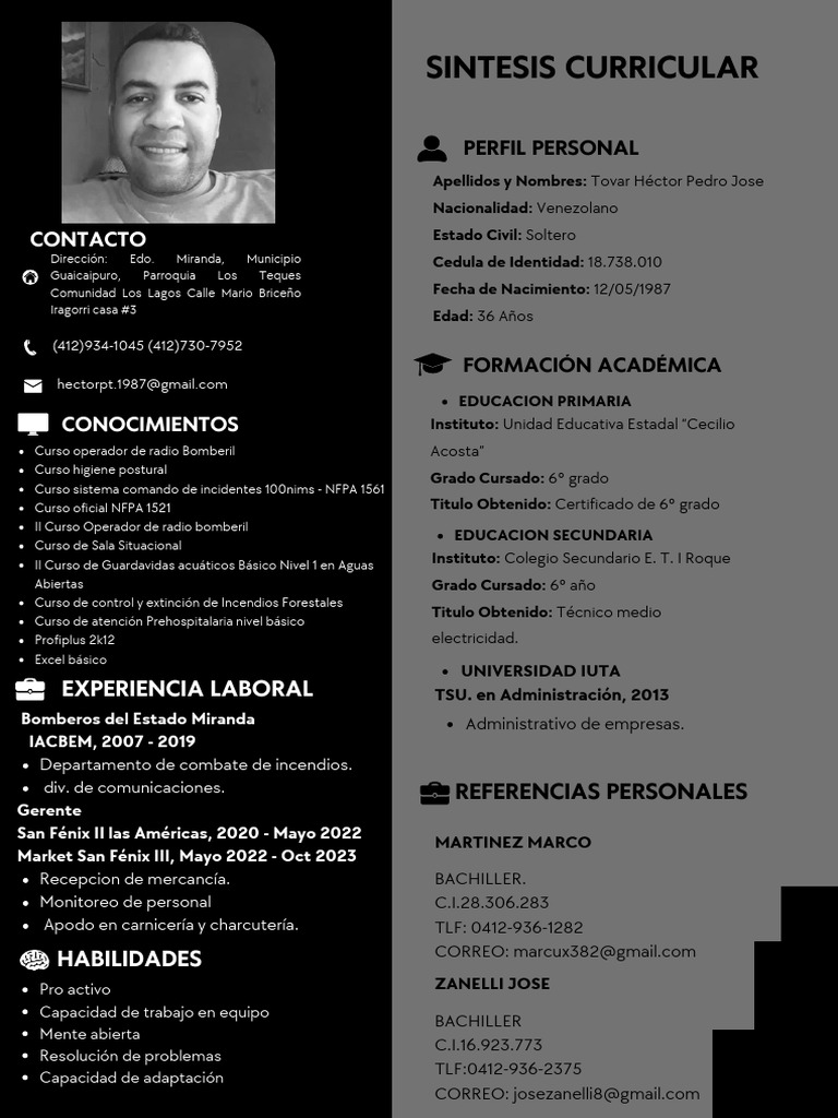 Currículum Profesional Hector Tovar | PDF