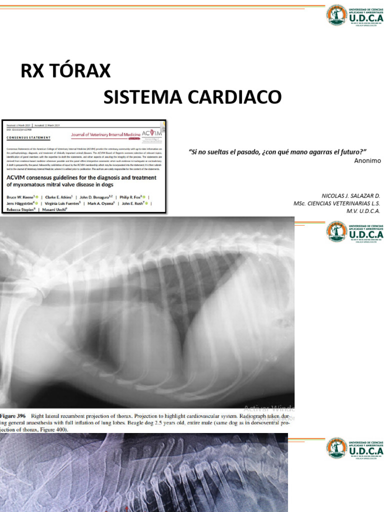 RX Torax Cardiologico | PDF
