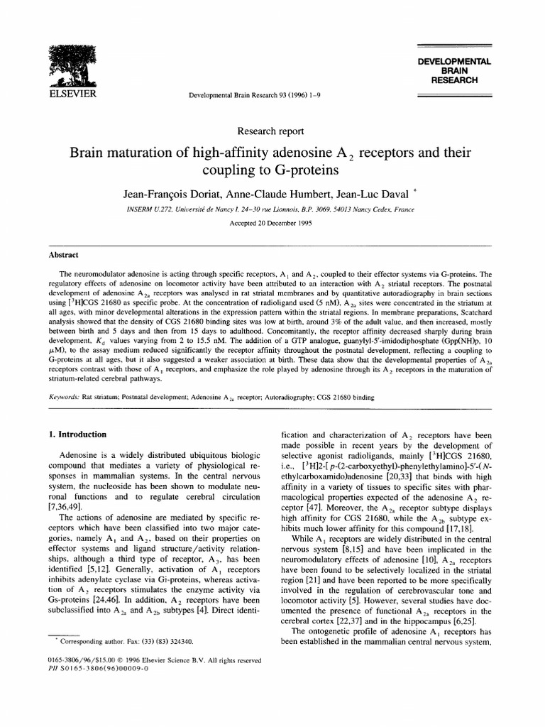 Brain Maturation of High-Affinity Adenosine A2 Receptors and Their ...