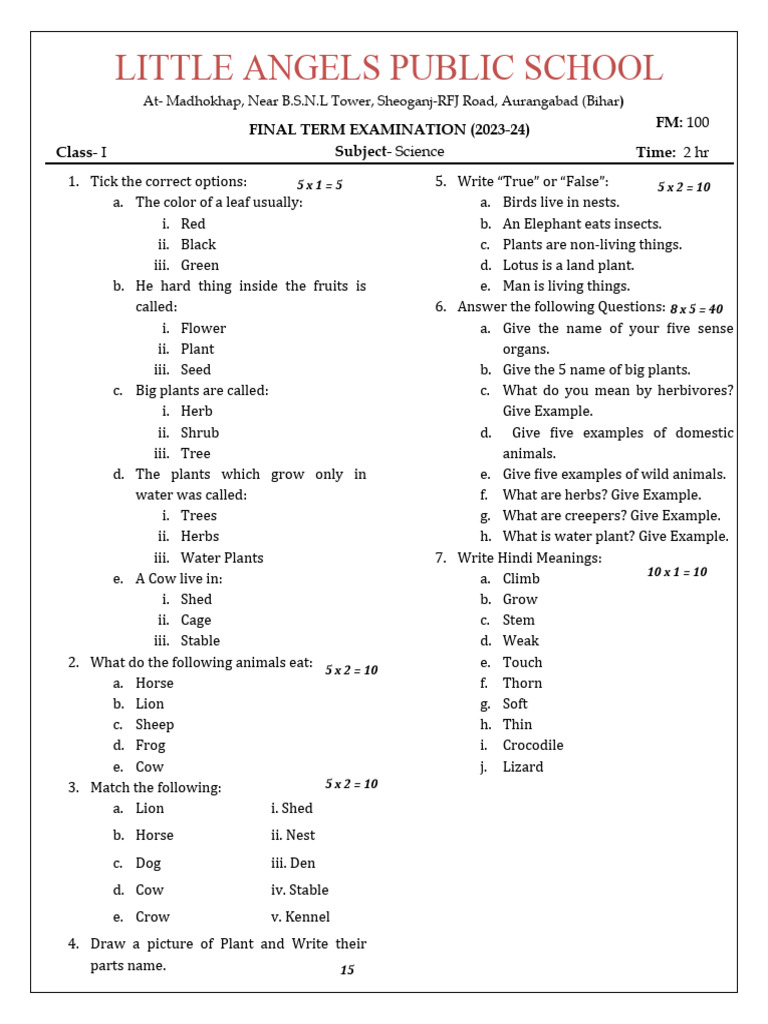 Little Angels School Science Exam 2023-24 | PDF | Plants | Organisms