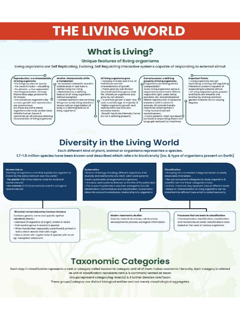 The Living World Mind Map | PDF