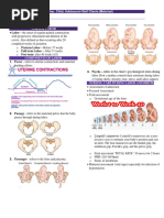 Midwifery Case Study: Normal Delivery | PDF | Childbirth | Pelvis