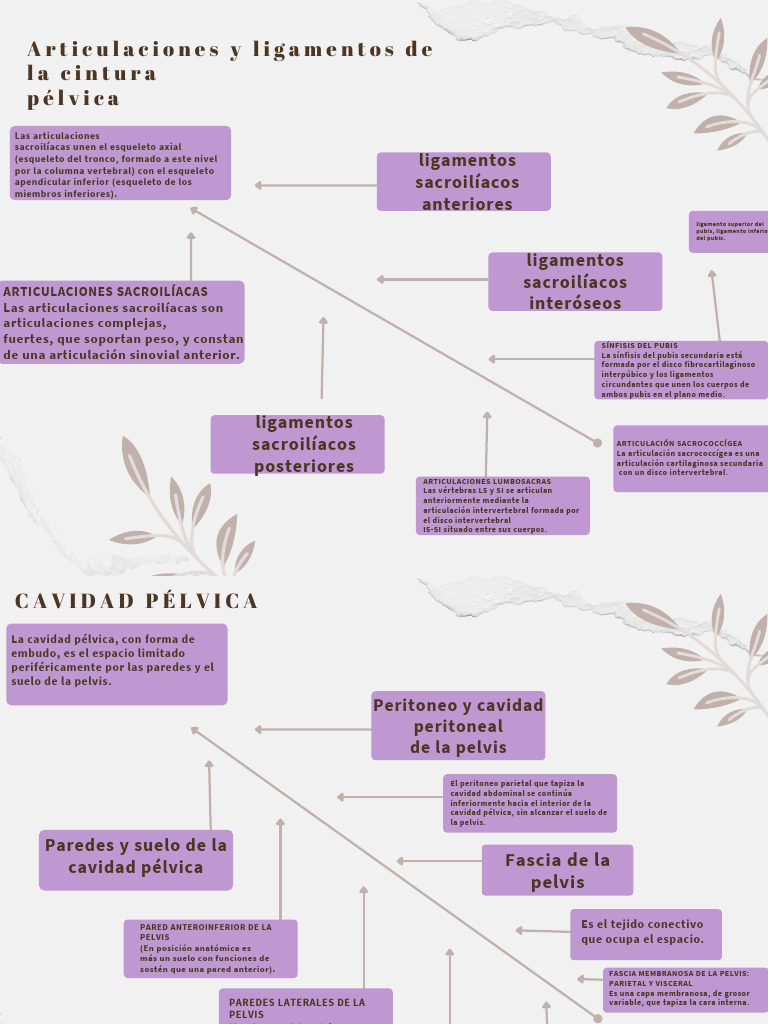 Beige Neutral Fishbone Diagram Graph Template | PDF | Pelvis | Leucocito