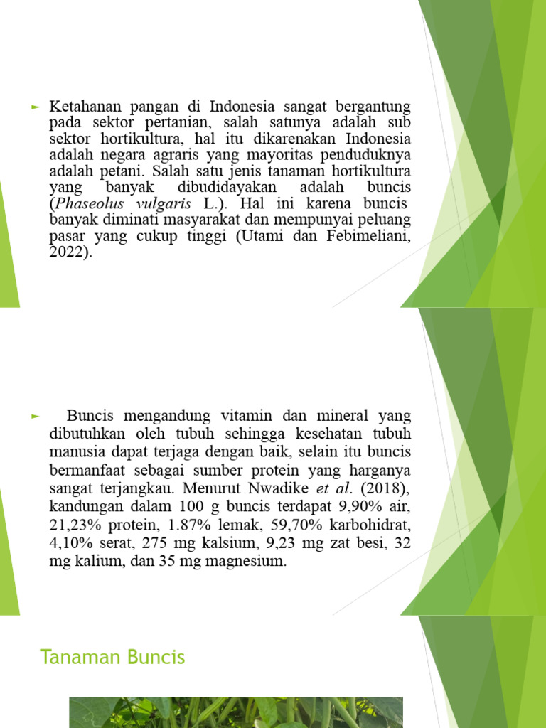 IPT HORTI 18 April 2024 | PDF